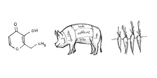 Science and Food: Edible Education | The Edible Schoolyard Project