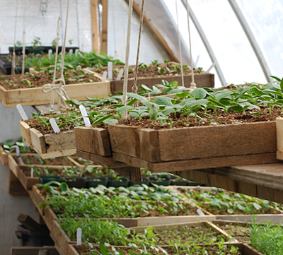 In a Tough Place to Farm, Discovering Much to Love | The Edible ...