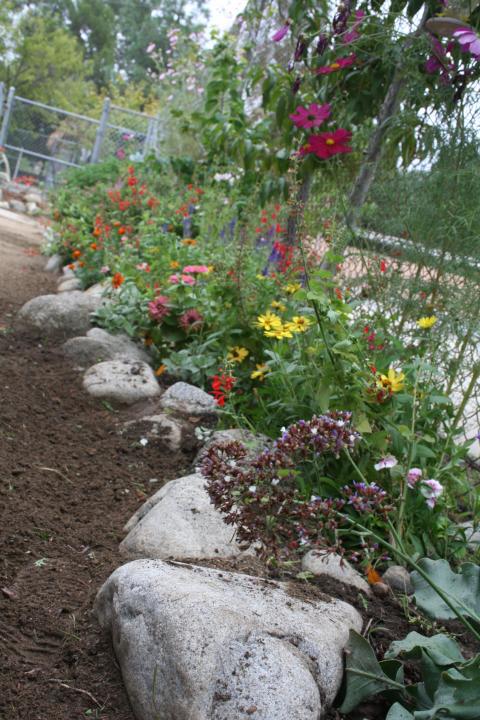 Stonehurst Elementary | The Edible Schoolyard Project